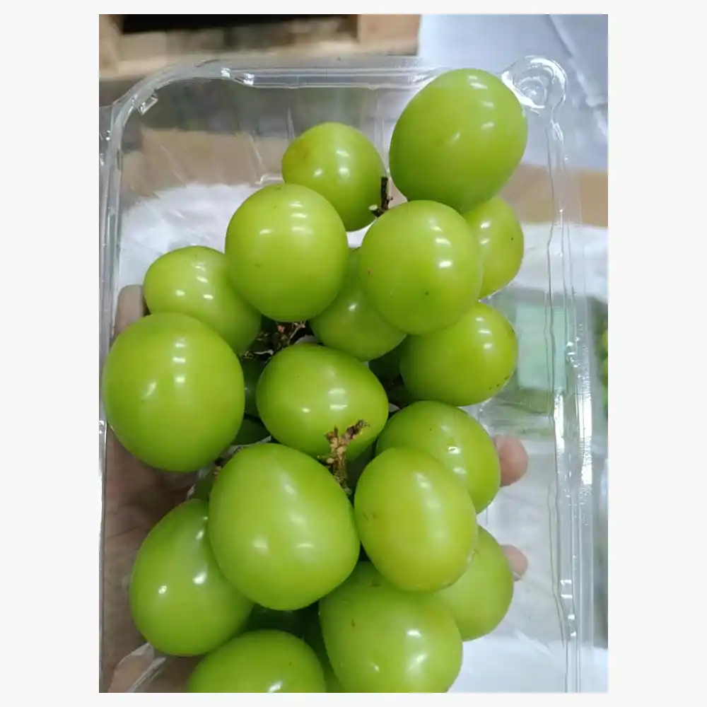 Green Grapes (Angur Fol) Imported 1kg | Sinin